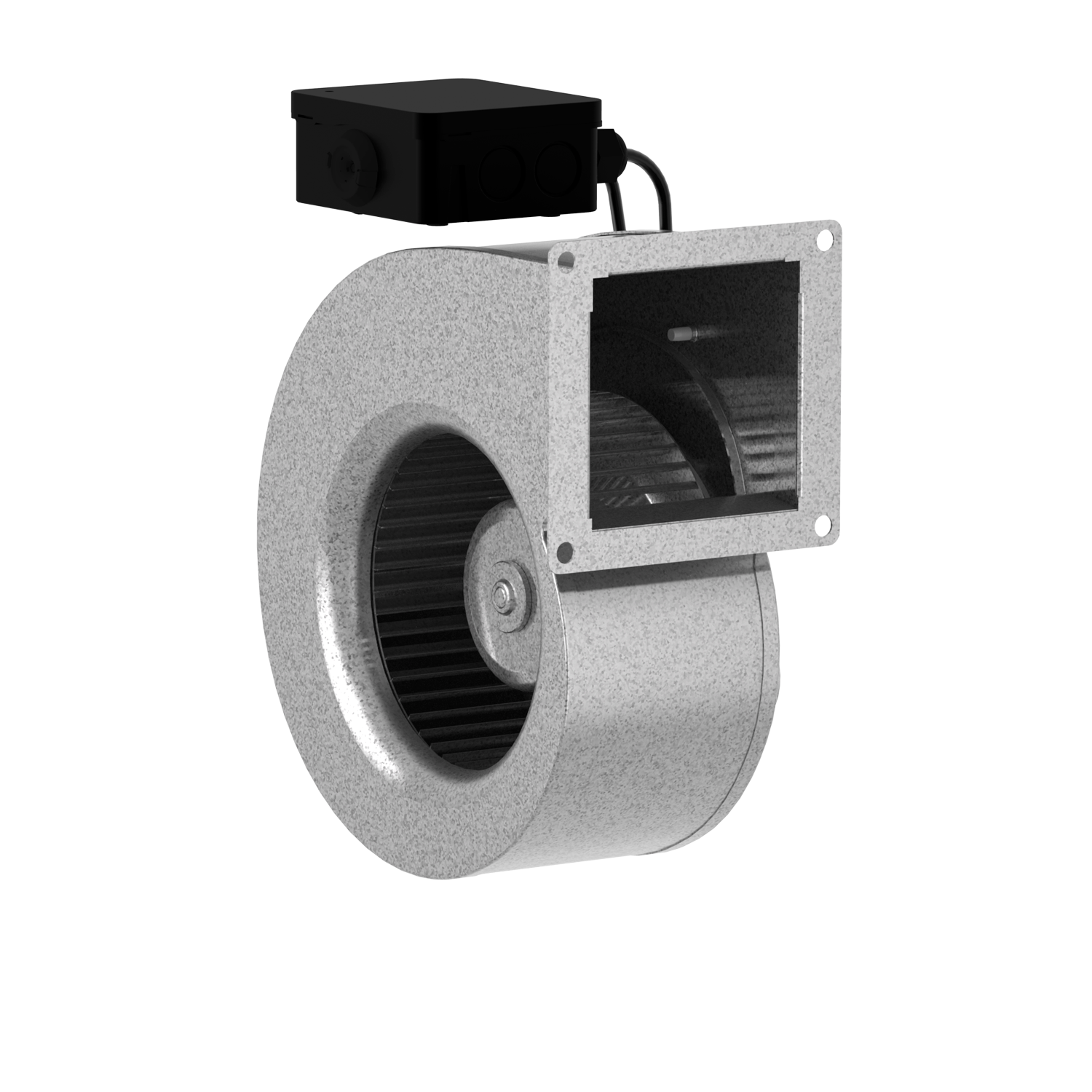 RFE EC - Fans - H. Östberg